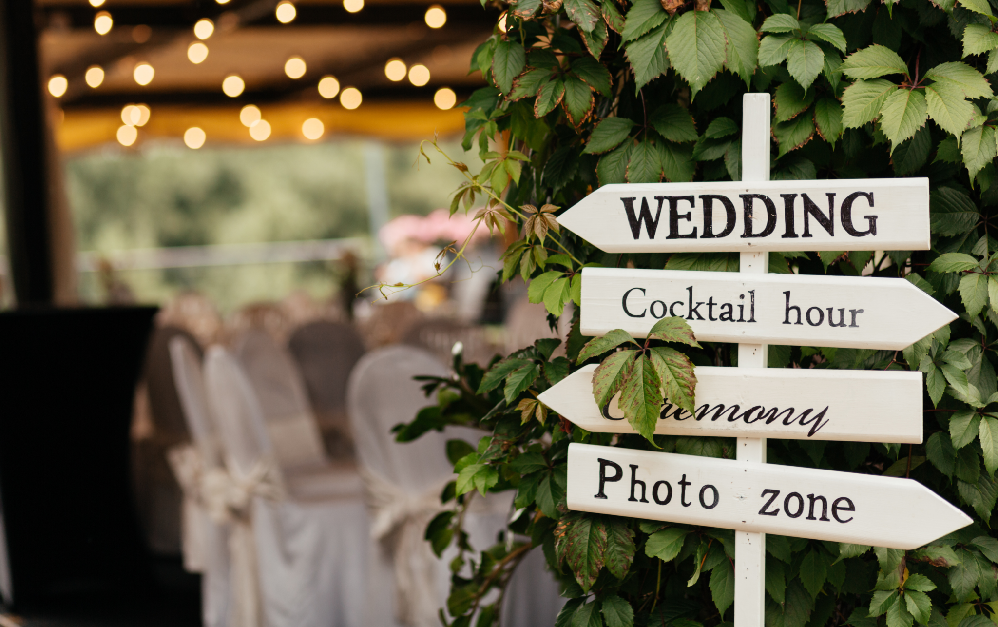 Wedding Season Weight Loss Tips: How to Stay on Track at Receptions ...